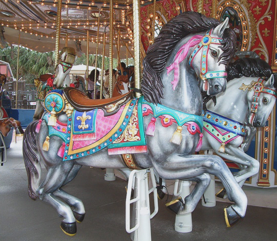 Baby Gear – Carousel Kids of Kennett Square